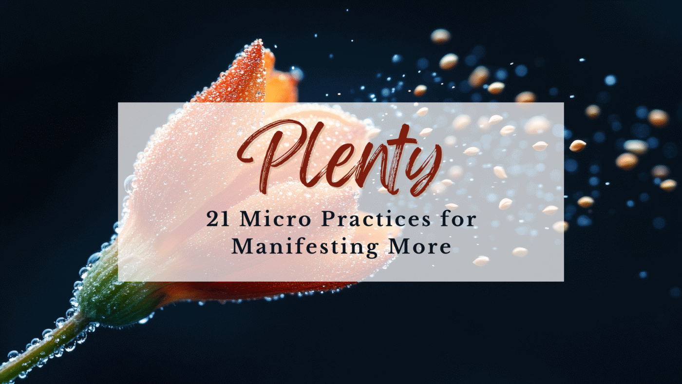 Plenty: 21 Micro Practices for Manifesting More - Ashleigh Grange ...